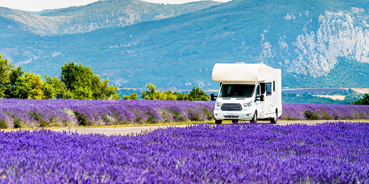 Chasing Blooms: 5 Scenic Spring Drives for RV Lovers - RV Trader Blog