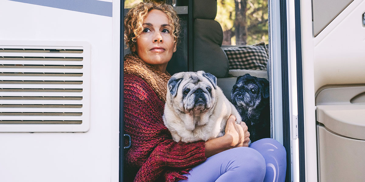 RV Dogs Need These 5 Things from Their Owners - RV Trader Blog