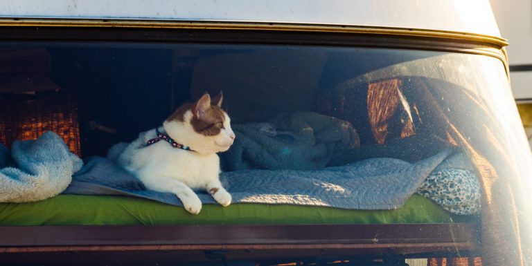 RV Trader - RV reviews, news, tips & features