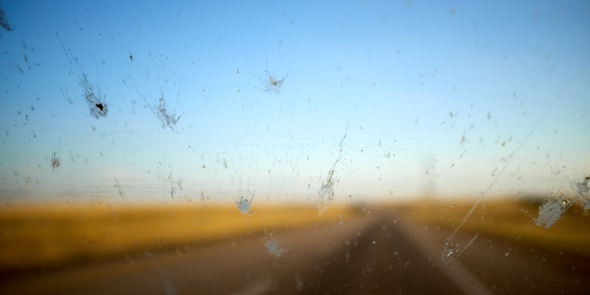 Cleaning Bug Splatter Off Your RV: A Step-by-Step Guide - RV Trader Blog